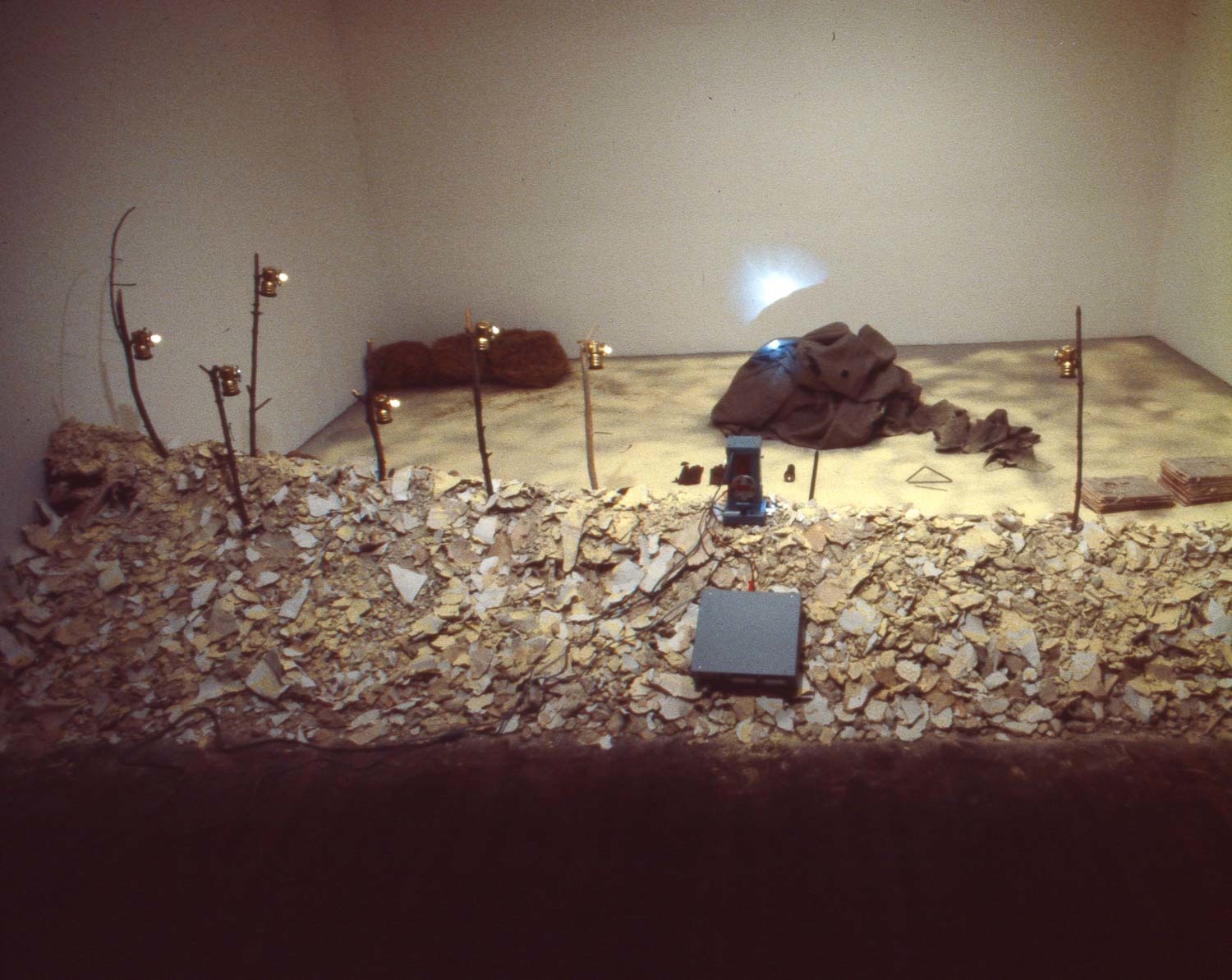 Ronald Feldman Gallery | Joseph Beuys