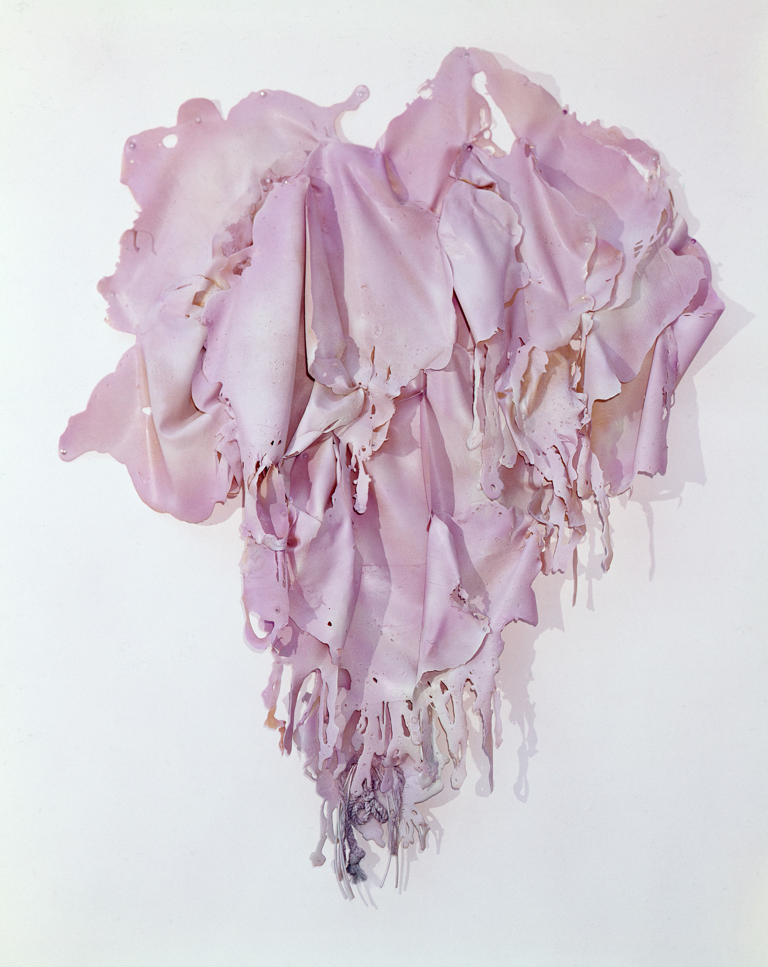 Ronald Feldman Gallery (en-US) | 003 - Hannah Wilke, September 12